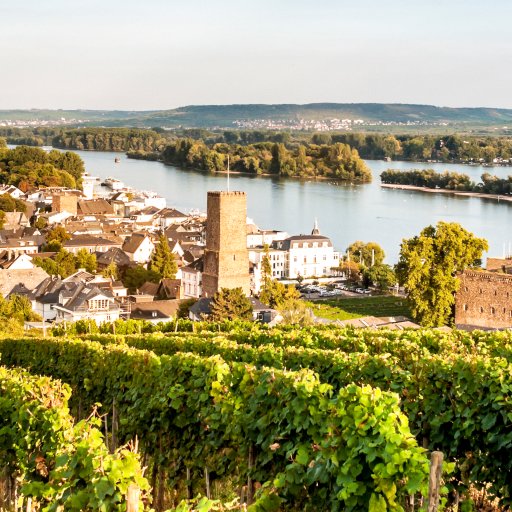 8 Tage Rhein Schifffahrt | Basel-Amsterdam-Köln | RHEIN MELODIE