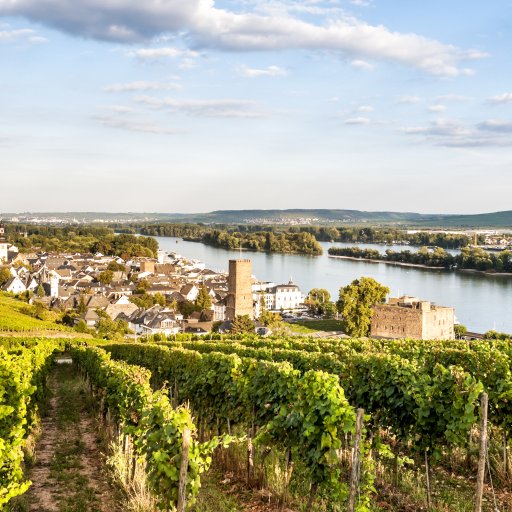 5 Tage Rhein Reise | Köln-Mittelrheintal-Köln | RHEIN SYMPHONIE