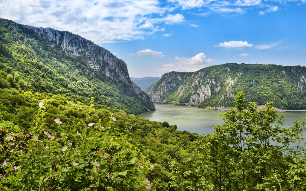 Kreuzfahrtleitung im Interview | Magazin | nicko cruises