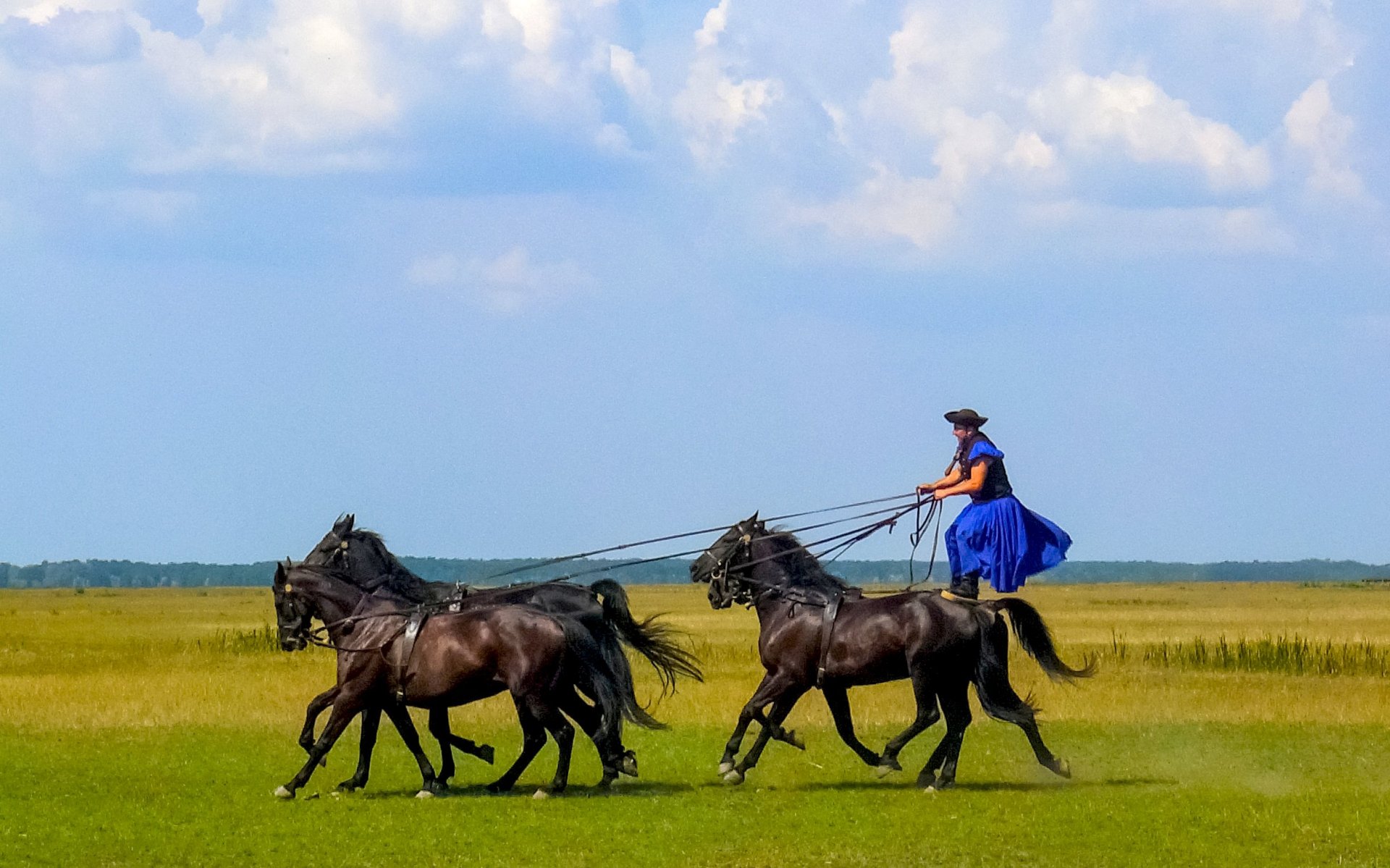 Die Naturschönheit Puszta | Magazin | nicko cruises