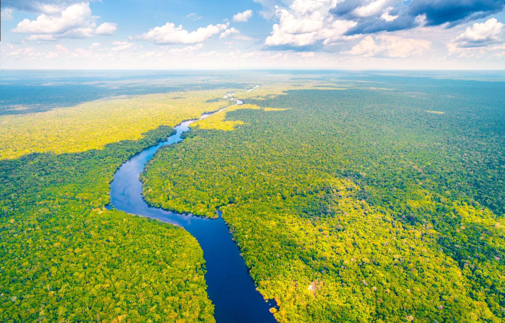 Endlos grüner Amazonas | Magazin | nicko cruises