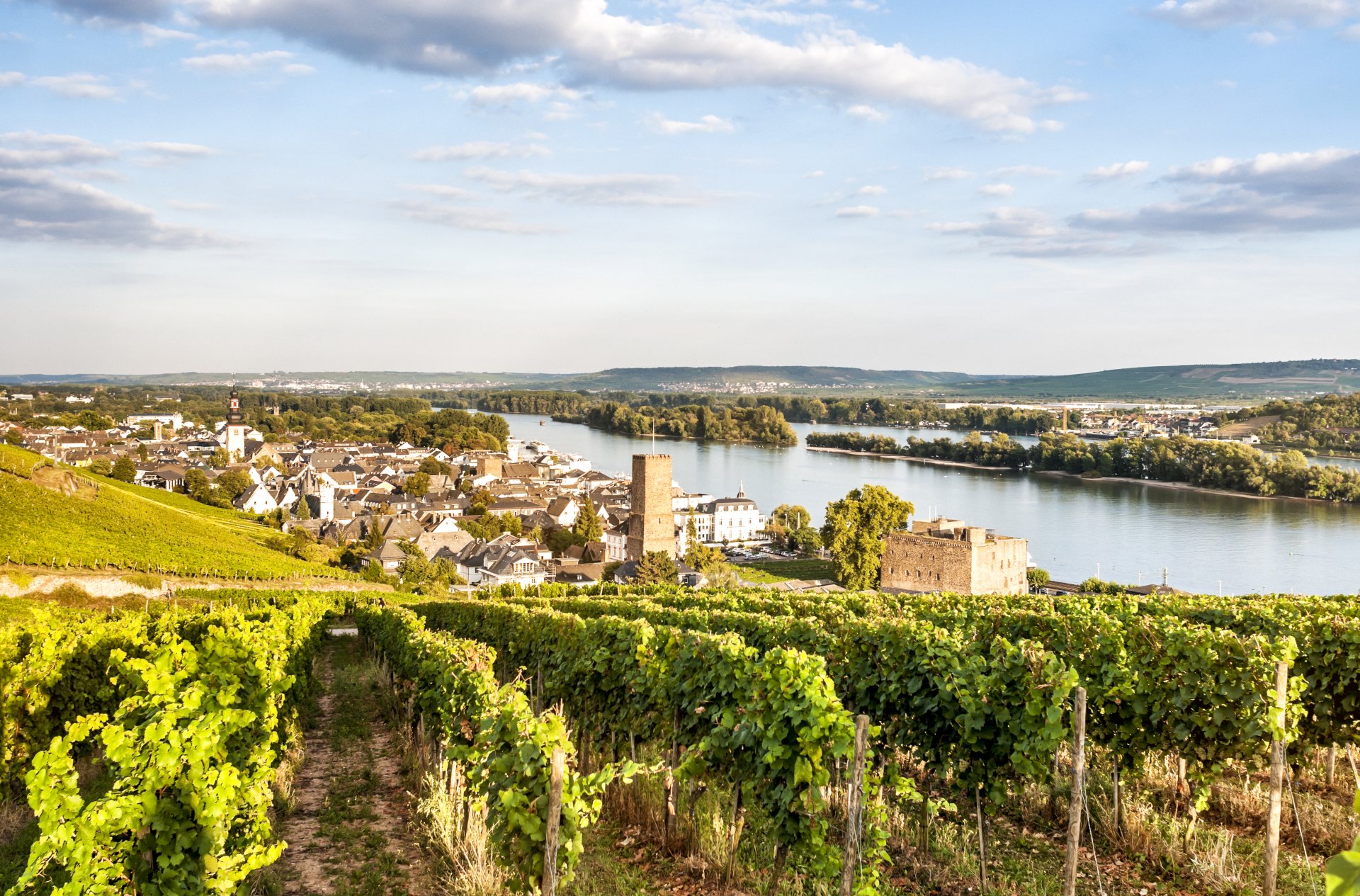 5 Tage Rhein Reise | Köln-Mittelrheintal-Köln | RHEIN SYMPHONIE